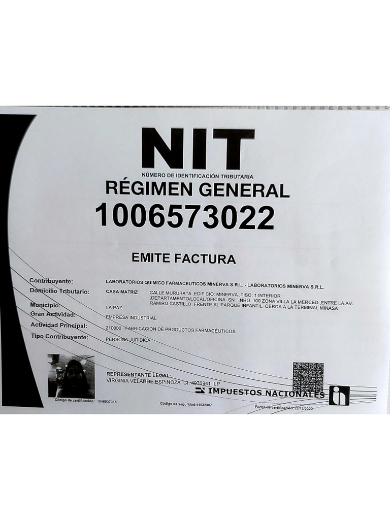Nit | PDF