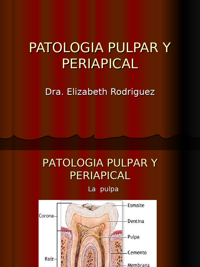 Patologia Pulpar y Periapical | PDF | Inflamación | Especialidades Medicas