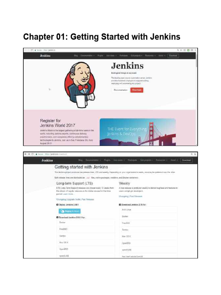 Jenkins Continuous Integration Cookbook | PDF