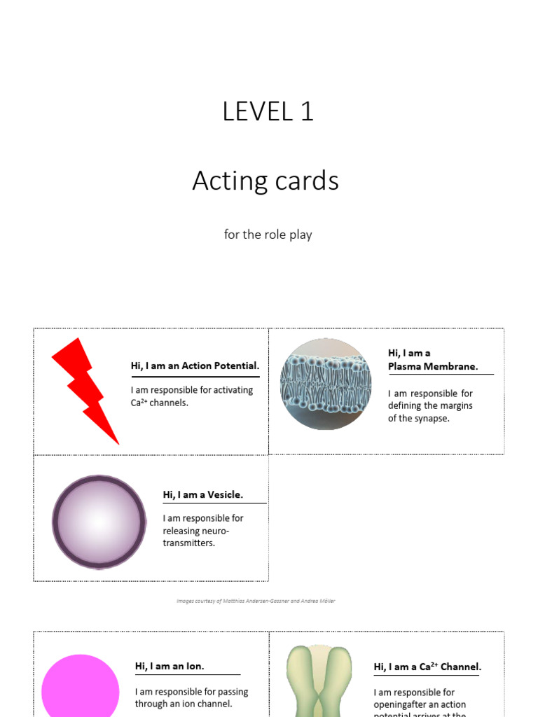 Neuroscience Role Play Cards | PDF