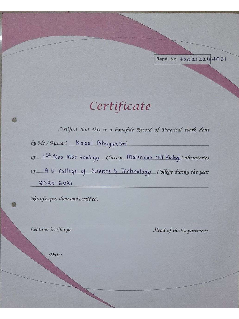 Record Paper 4 - Compressed | PDF