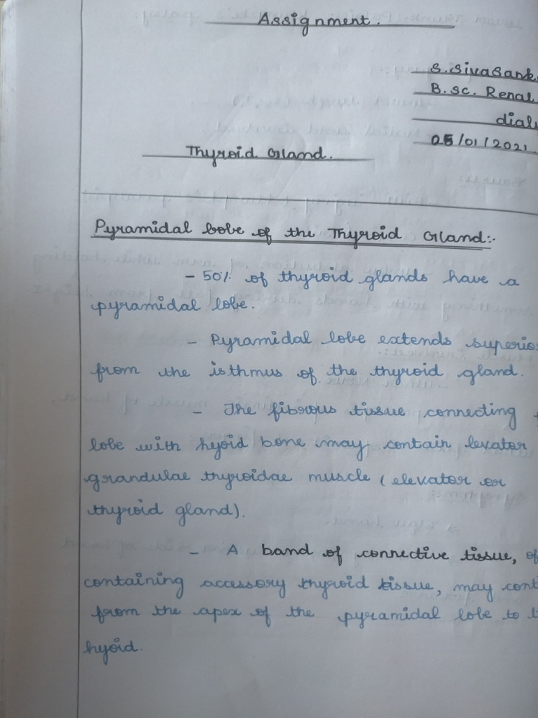 Anatomy Assignment Thyroid Gland | PDF | Gastroenterology | Abdomen