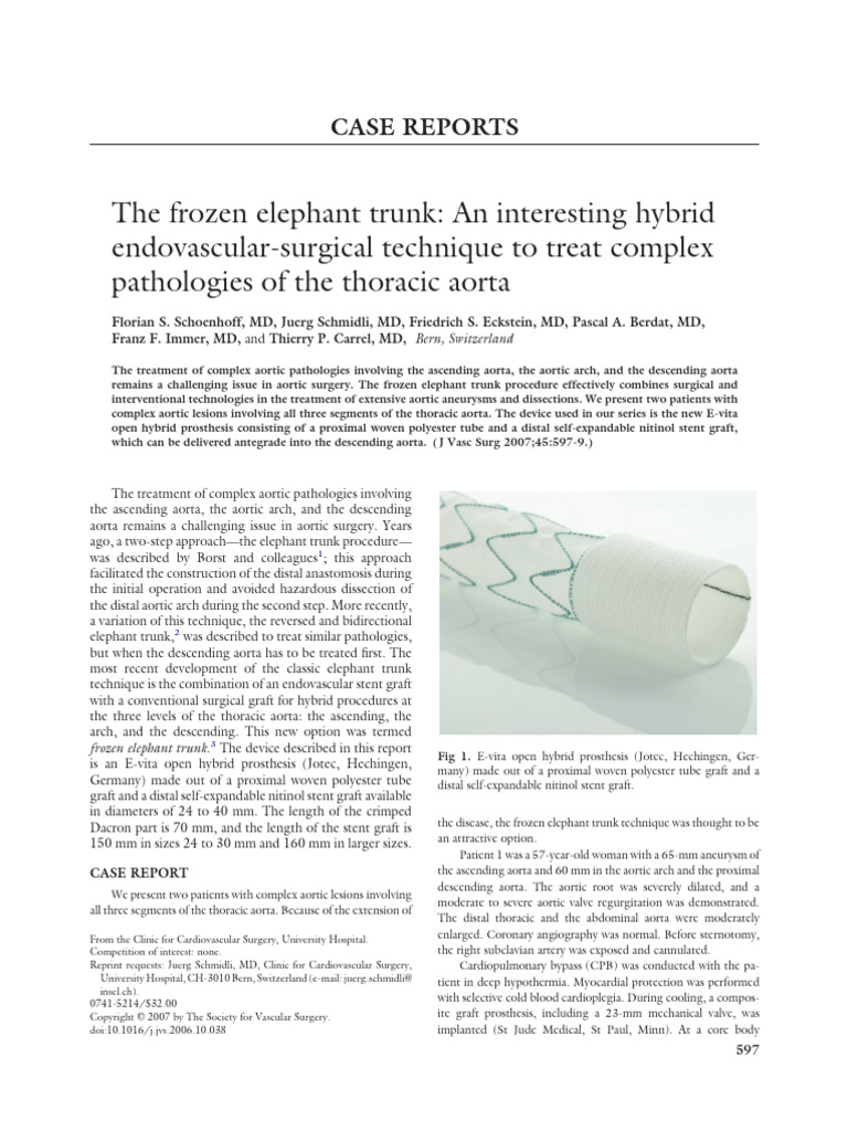 Frozen Elephant Trunk Technique in Aorta | PDF | Aorta | Clinical Medicine