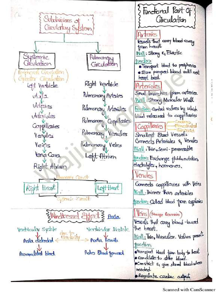 Circulation 1 Pdf