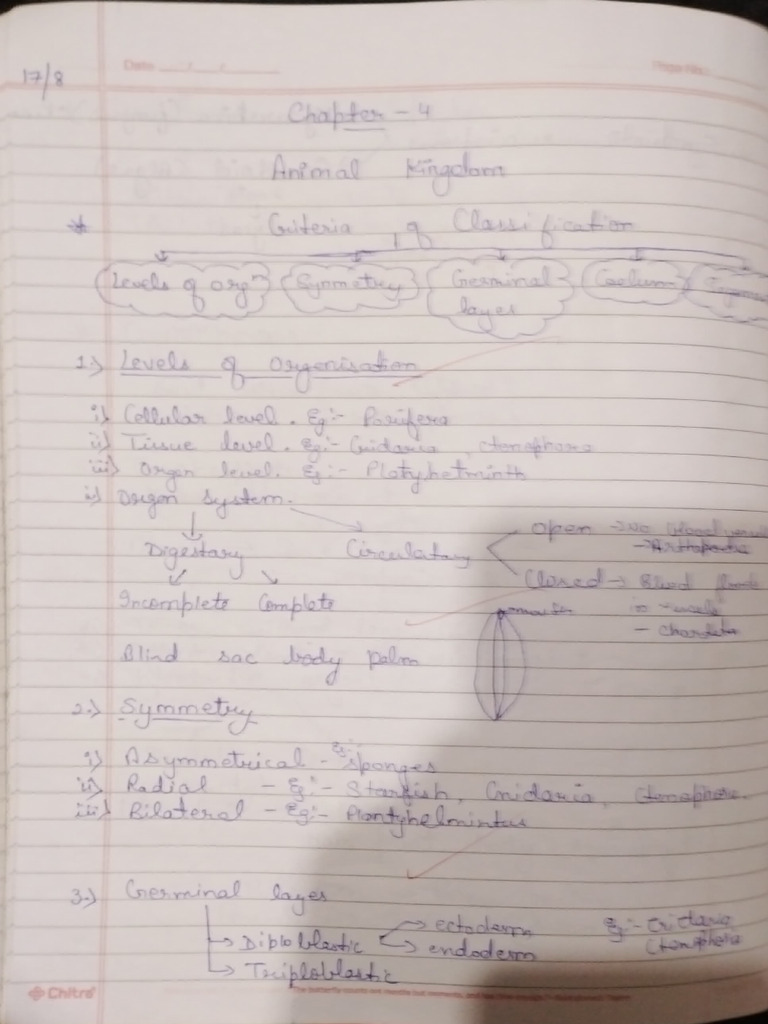 Animal Kingdom Class 11th | PDF