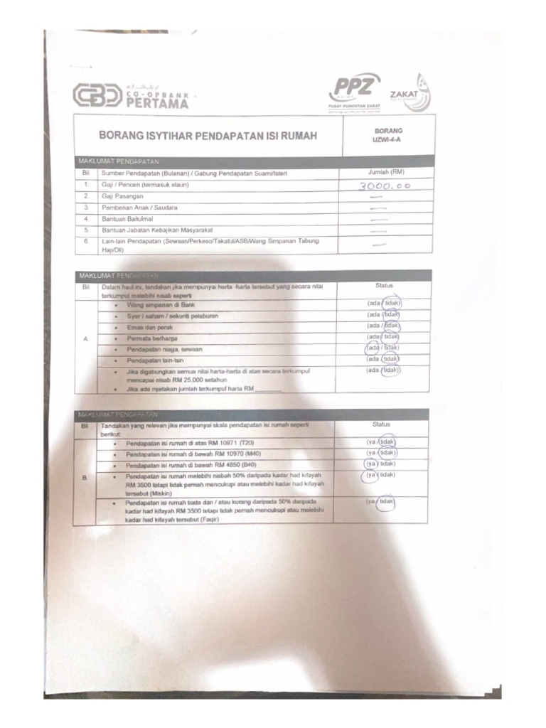 Borang Pegisytiharan Pendapatan | PDF