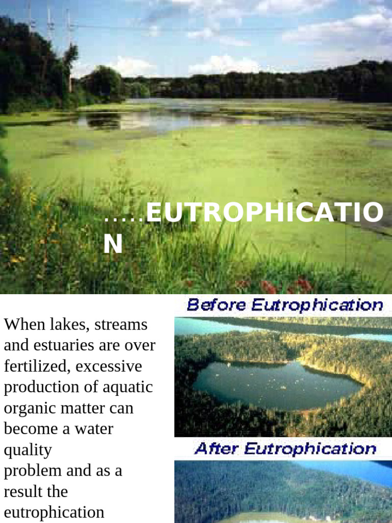 Understanding Eutrophication Stages | PDF | Science & Mathematics