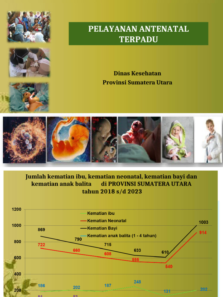 ANC Terpadu 2024 New | PDF