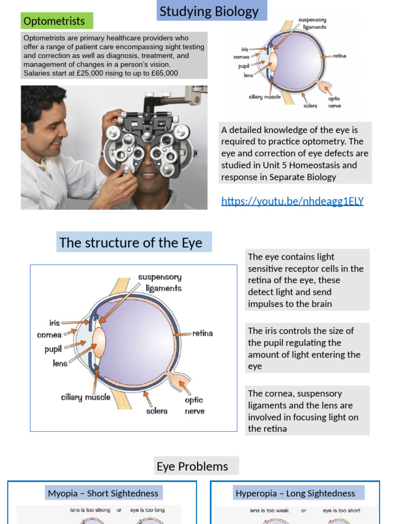 y9-options-resource-biology | PDF | Eye | Myopia