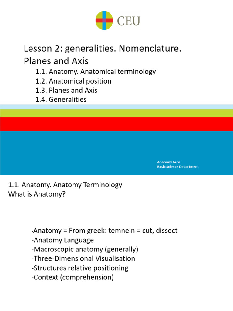 Gen Planes Axis Anat Notes | PDF | Anatomical Terms Of Motion | Bone