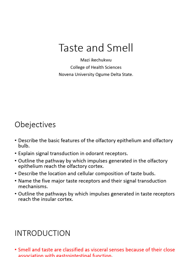 SMELL and T | PDF | Taste | Cerebral Cortex