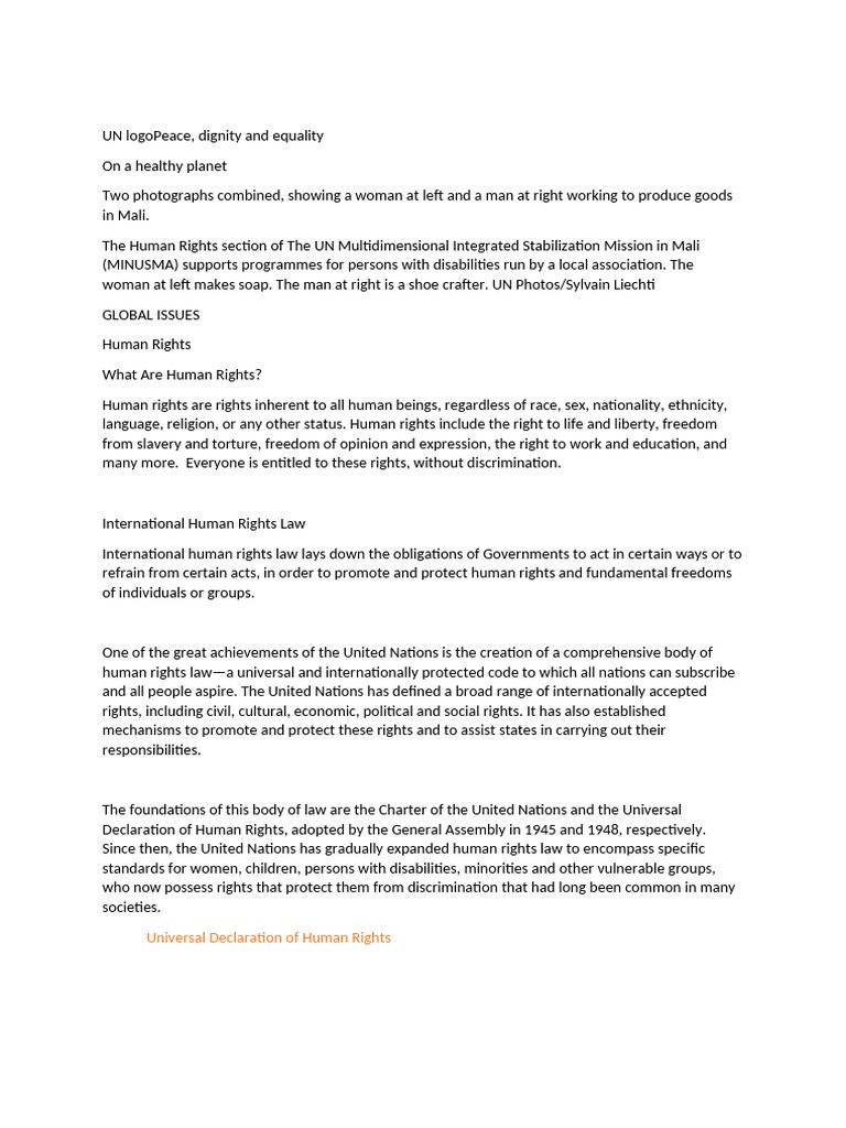 Understanding Human Rights Law Basics | PDF