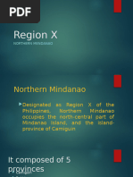 Overview of Region 10: Northern Mindanao | PDF | Mindanao