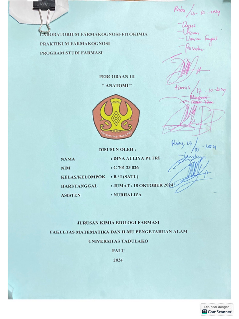 Dina Auliya Putri - Acc Perc 3 | PDF