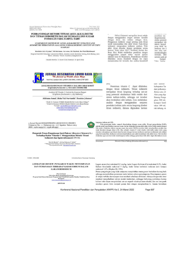 Iodi Iodo Rijal | PDF