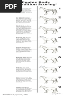Canine Body Condition Scoring Guide | PDF | Abdomen | Vertebral Column