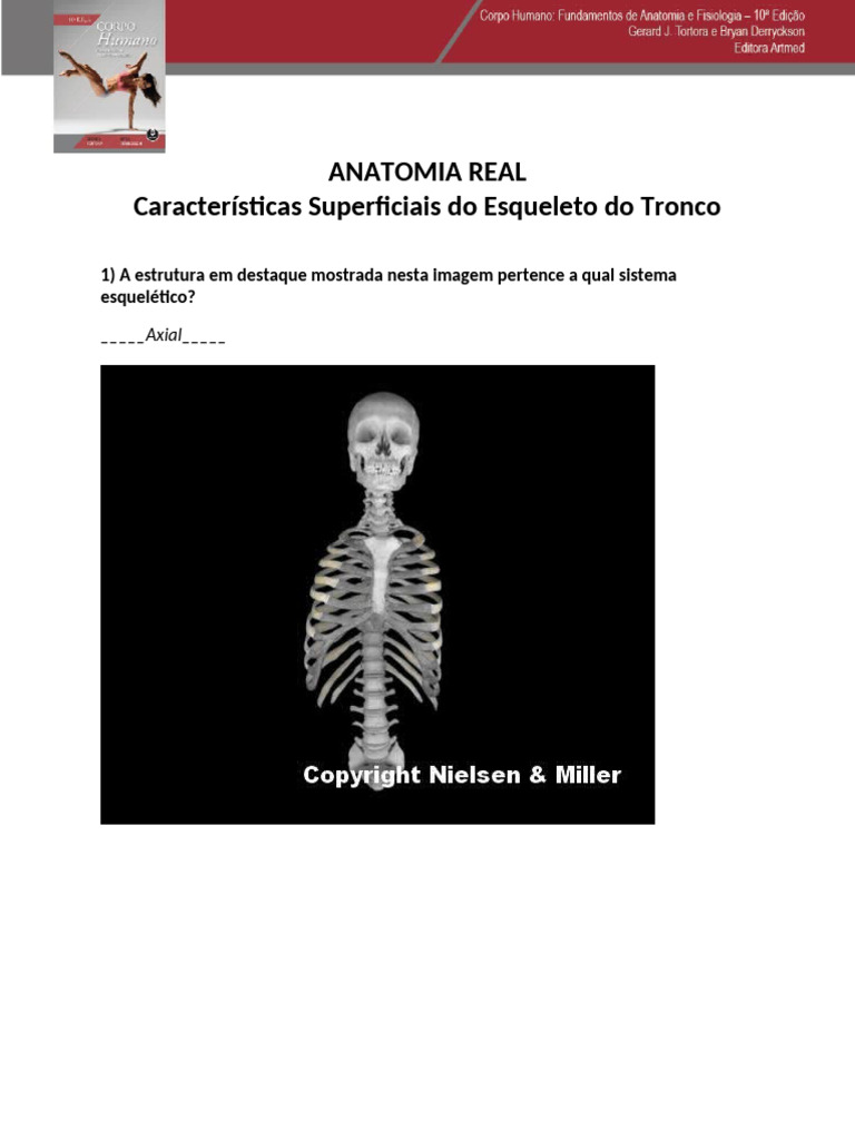 Anatomia do Esqueleto do Tronco | PDF