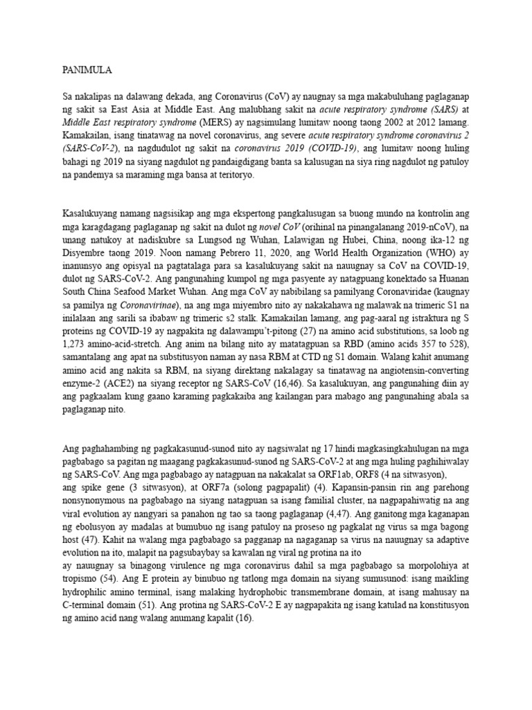Project Translated | PDF