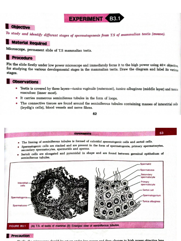 Experiment Volumetric Analysis | PDF