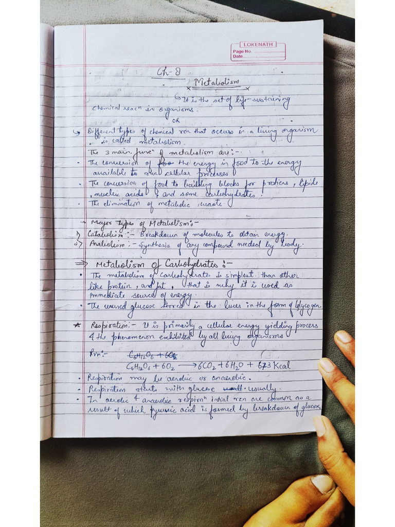 CH 8 Biochem | PDF