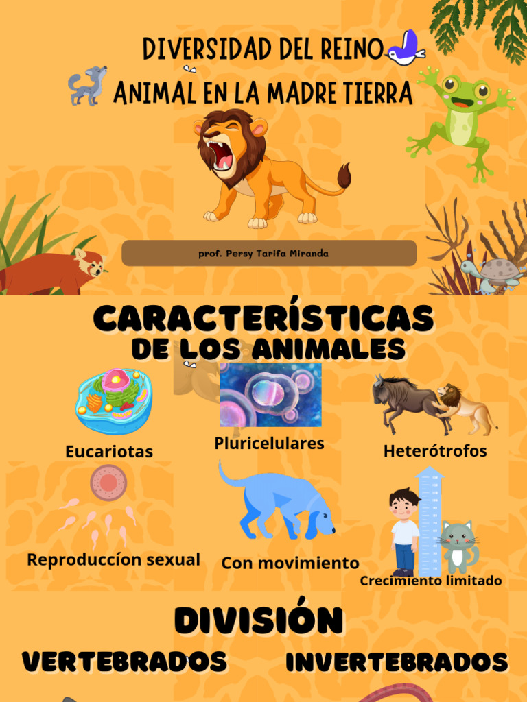 Reino Animal | PDF | Invertebrado | Vertebrados