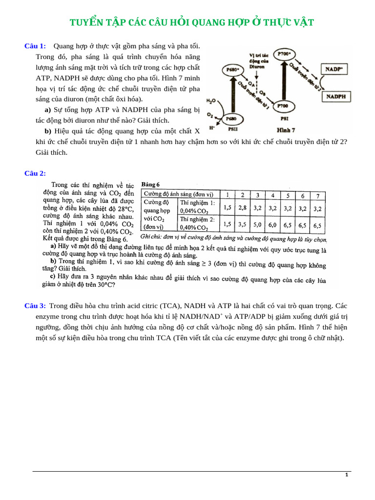 0.Câu Hỏi Quang Hợp Hsg -Gui | PDF