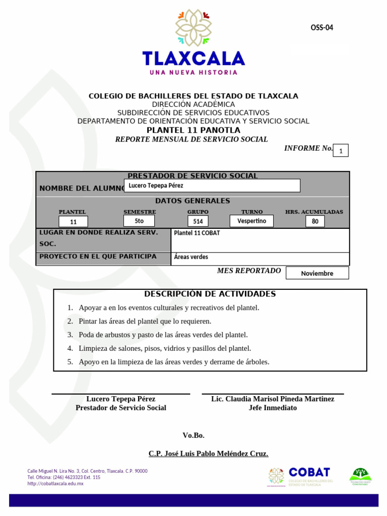 1er Reporte Mensual 2024b | PDF