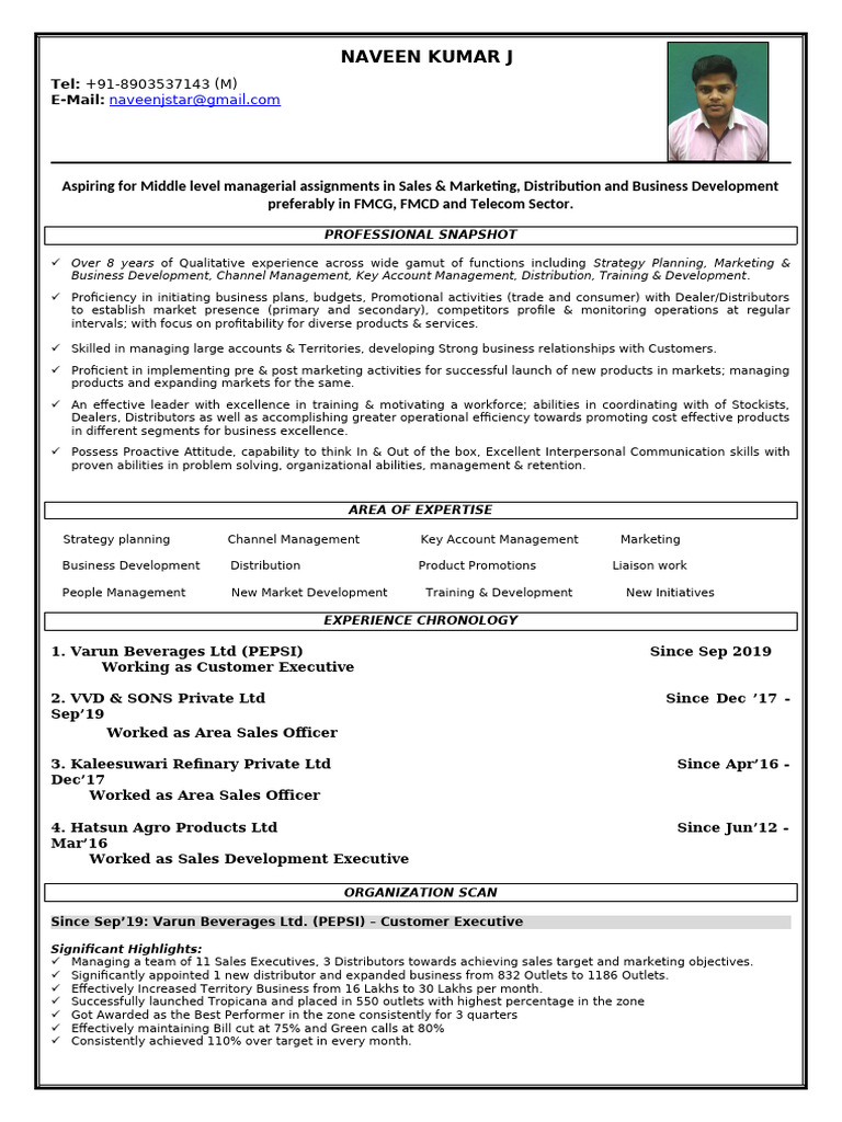Resume Naveen | PDF | Marketing | Business