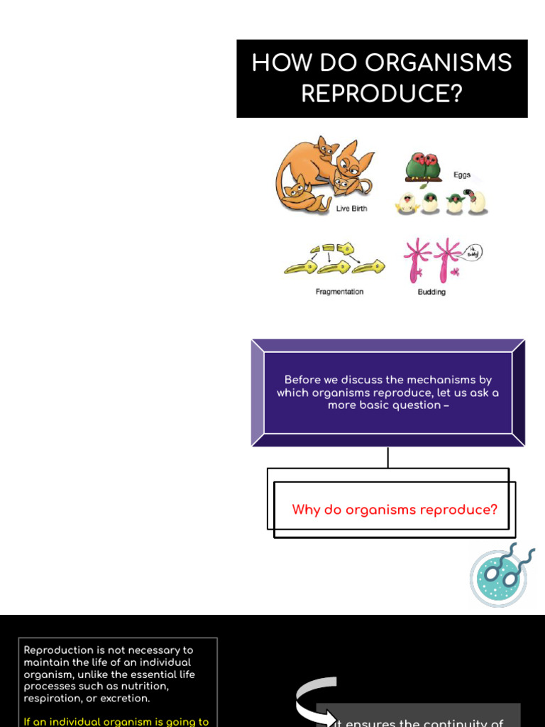How Do Organisms Reproduce_-YT | PDF | Fertilisation | Flowers