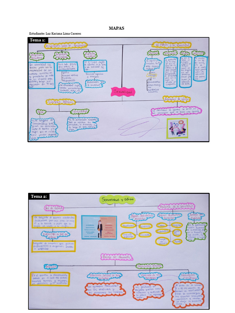 Mapas de Luz Kariana Lima Caceres | PDF