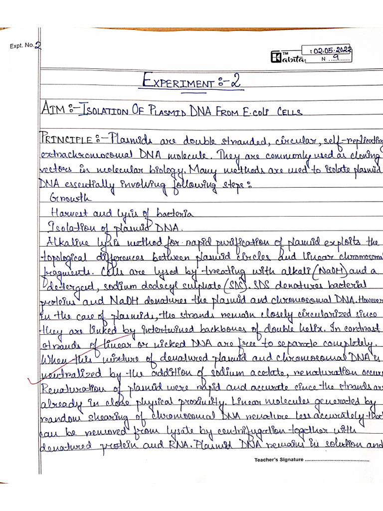 CC13 IsolationOfPlasmid | PDF