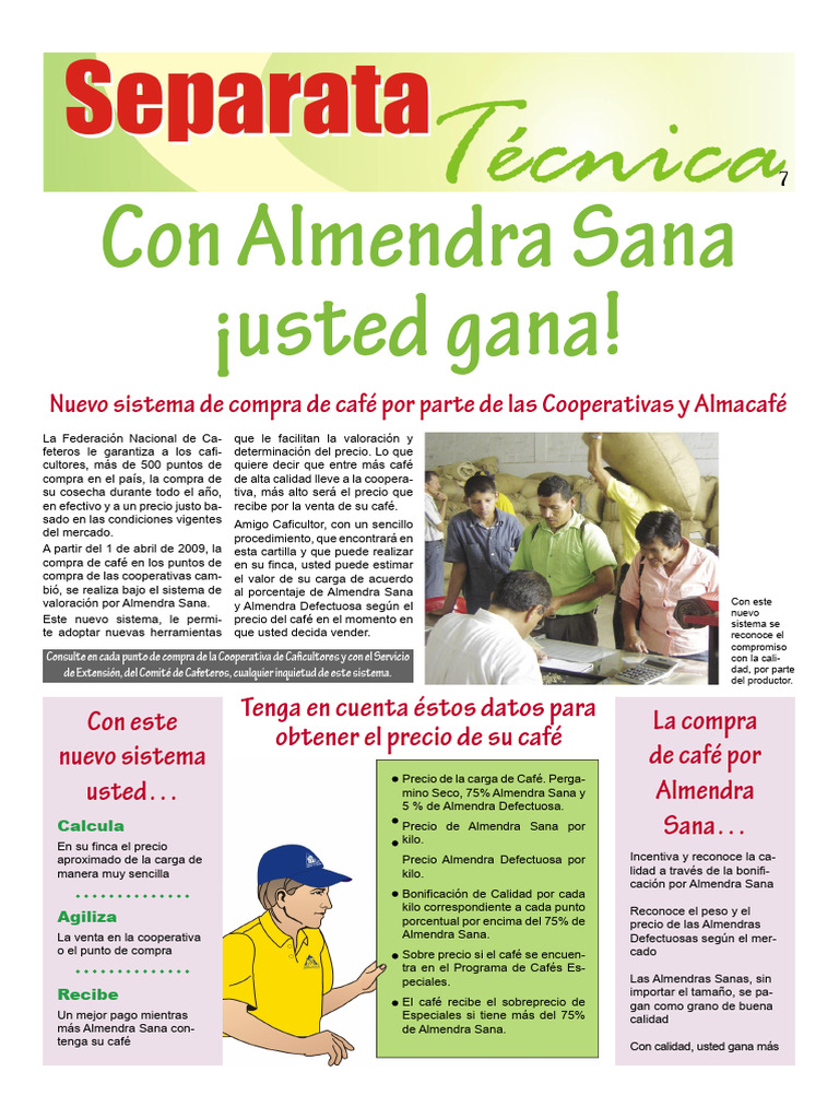 Separata Almendra | PDF | café