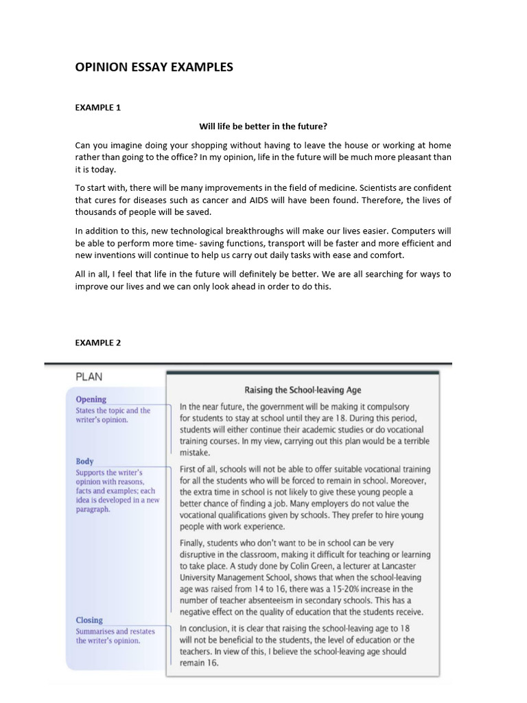 Opinion Essay Examples | PDF