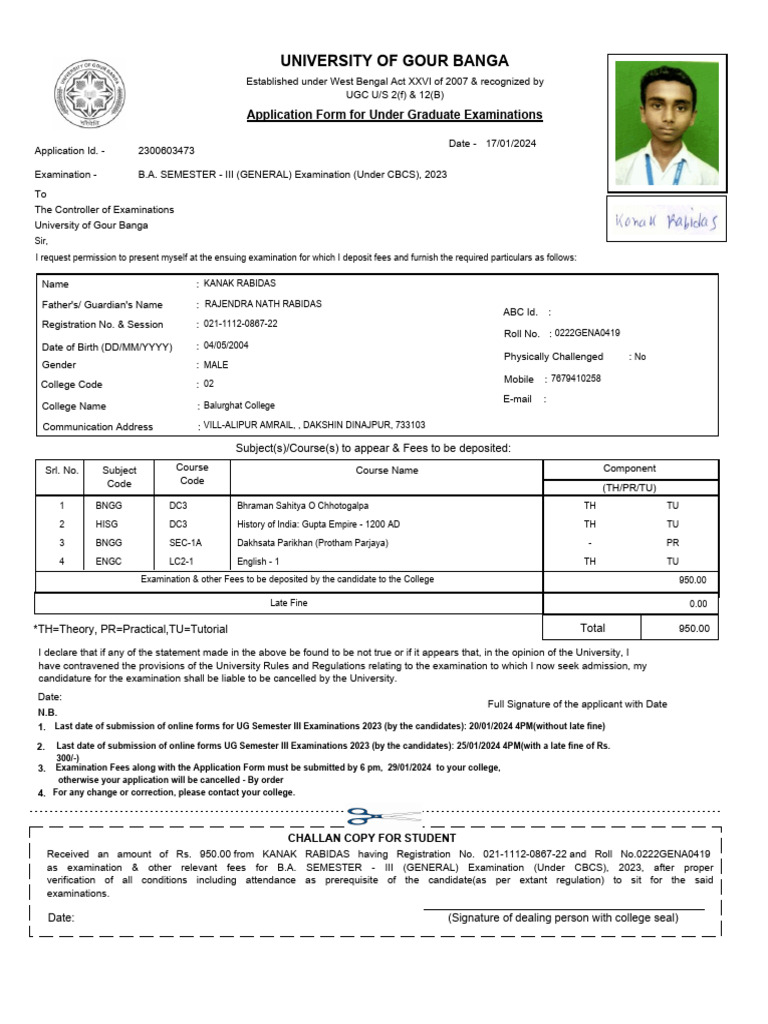 UG Examination Application Form 2023 | PDF | Justice | Crime & Violence