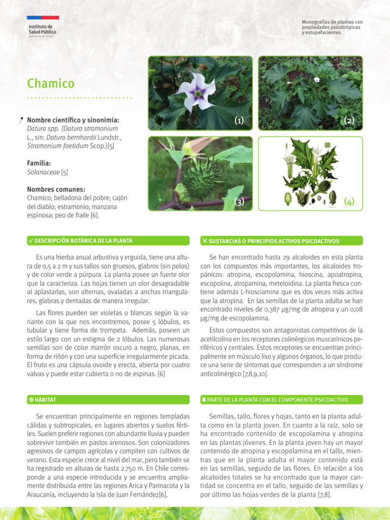 Chamico 22022023A | PDF