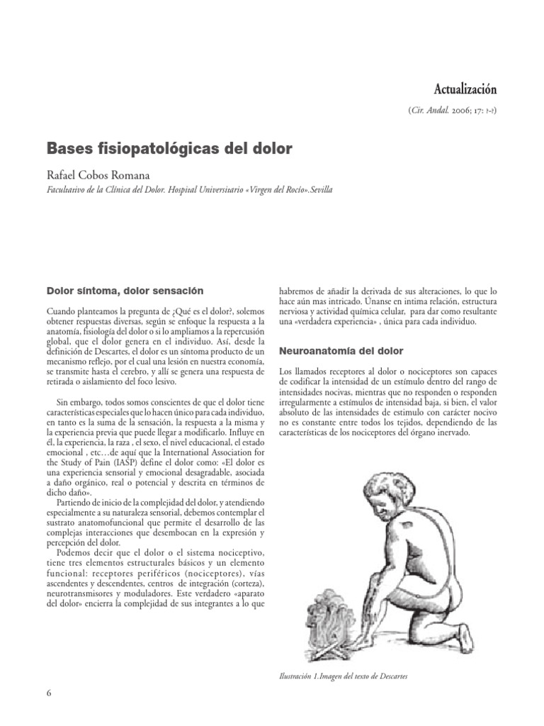 Fisiopatología del Dolor: Aspectos Clave | PDF | Dolor | Serotonina