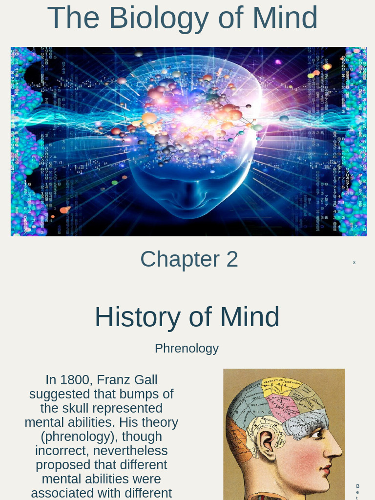 Ch. 2 PPT '23 | PDF | Nervous System | Neuron