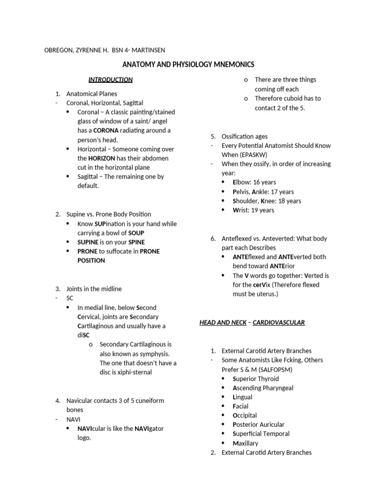 ANATOMY AND PHYSIOLOGY MNEMONICS-1 | PDF | Common Carotid Artery | Skull