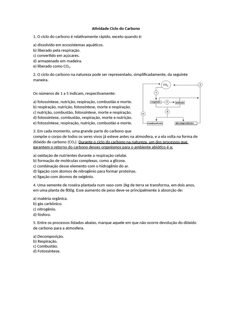 Atividade Ciclo Do Carbono 1 B | PDF