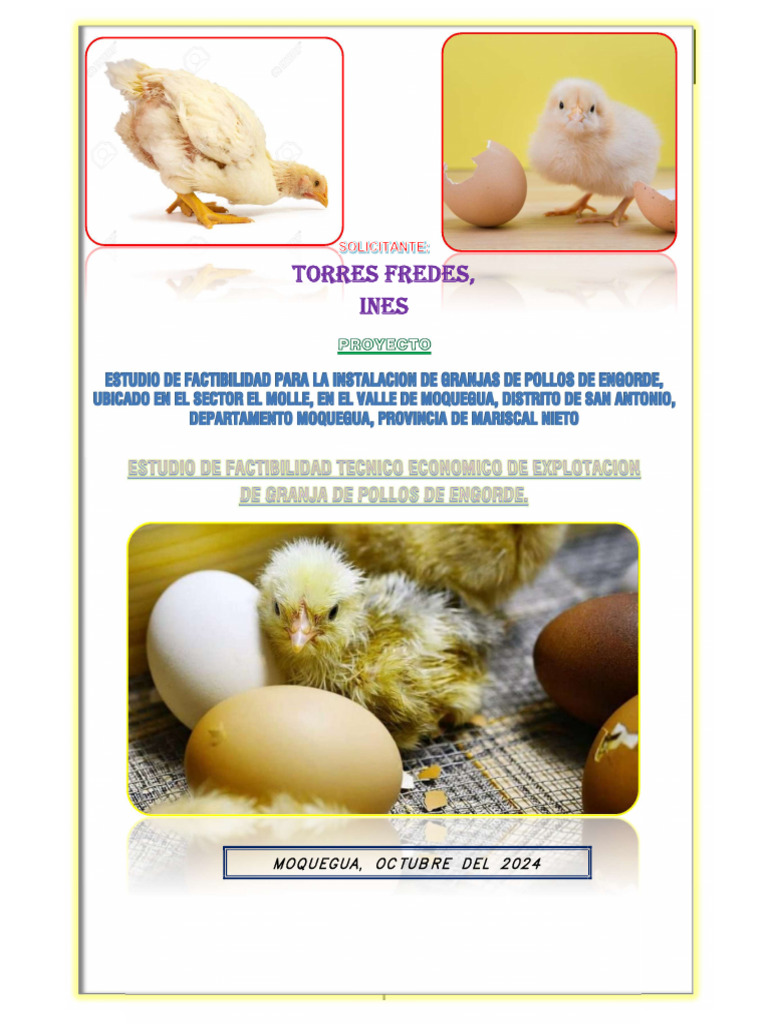 Proy. Facib. | PDF | Carne | Oferta (economía)