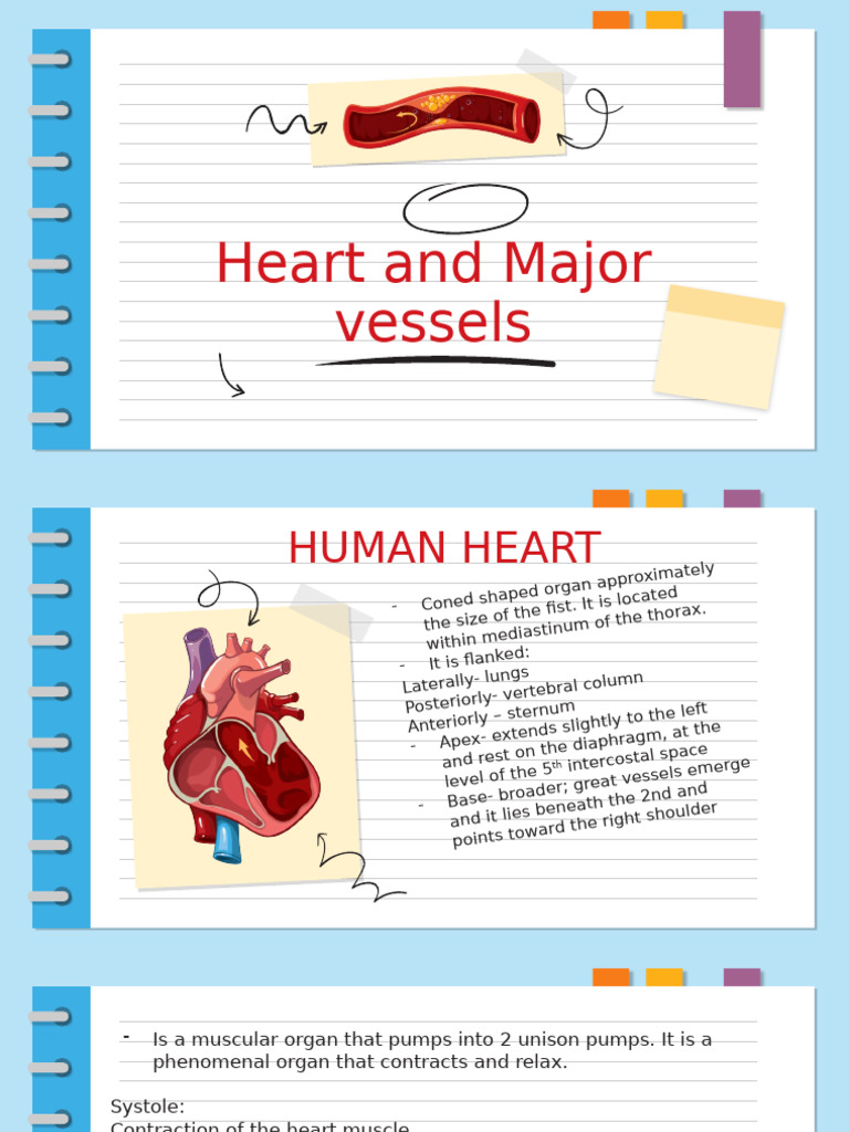 Heart and Major Vessels | PDF | Heart Valve | Heart
