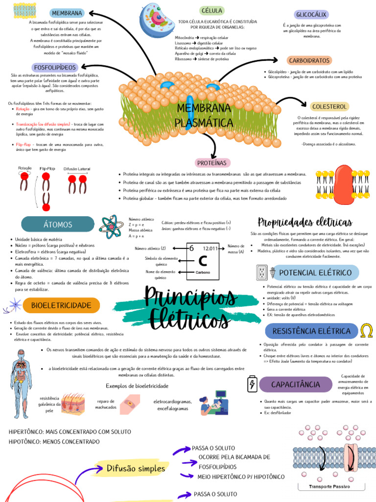 MAPAS MENTAIS DE BIOFÍSICA | PDF | Osmose | Membrana celular