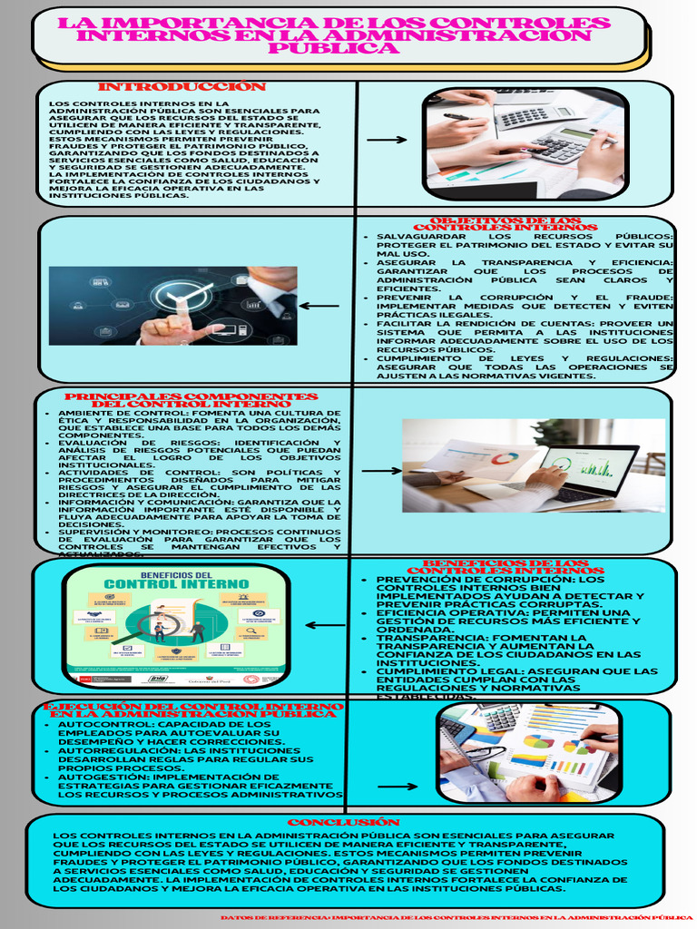 Infografia Articulo Control Interno | PDF