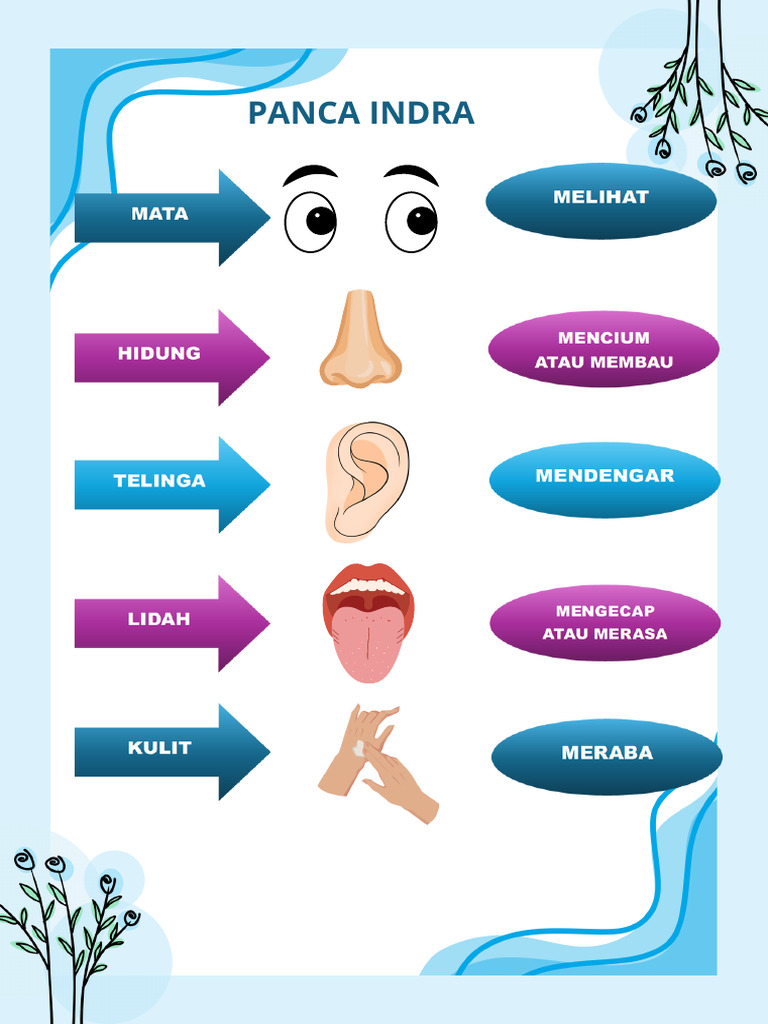 panca indra dan fungsinya | PDF