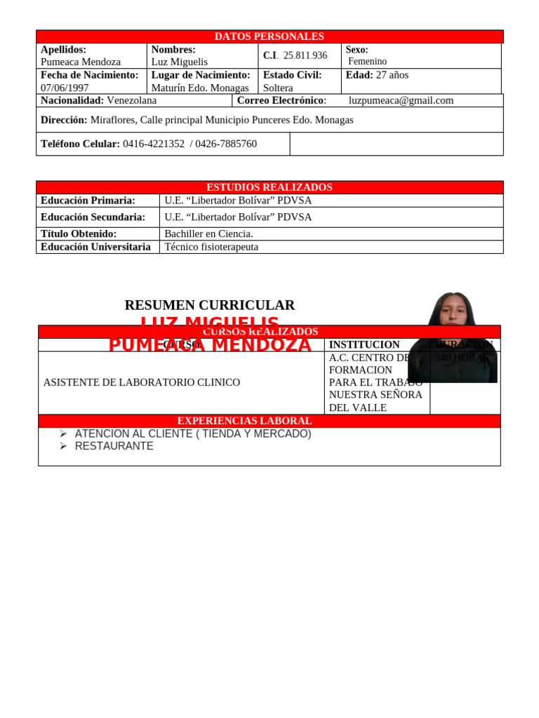 Curriculum Luz Pumeaca | PDF