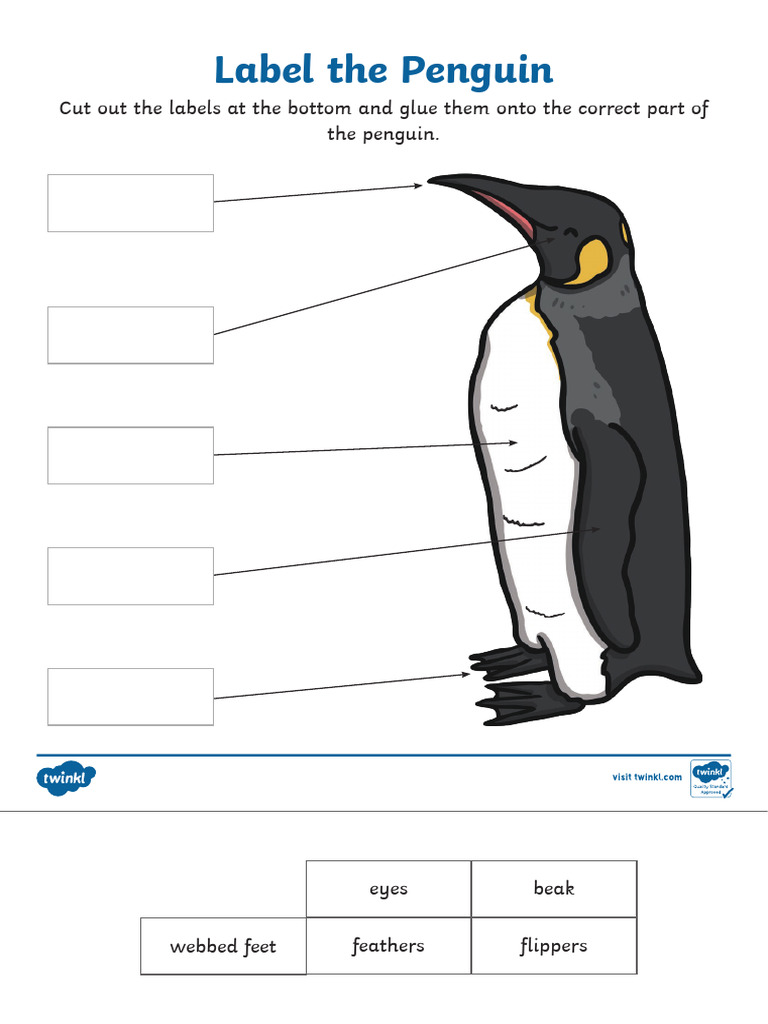 Ni G 280 Label The Penguin Activity Sheet - Ver - 3 | PDF