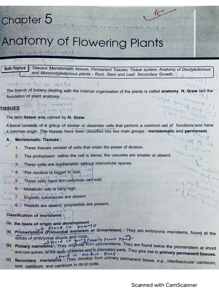 Anatomy of Flowering Plants Notes | PDF
