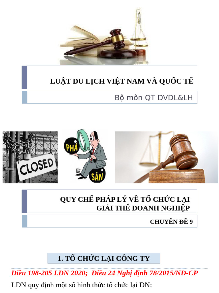Luat DL VN-C9_update | PDF