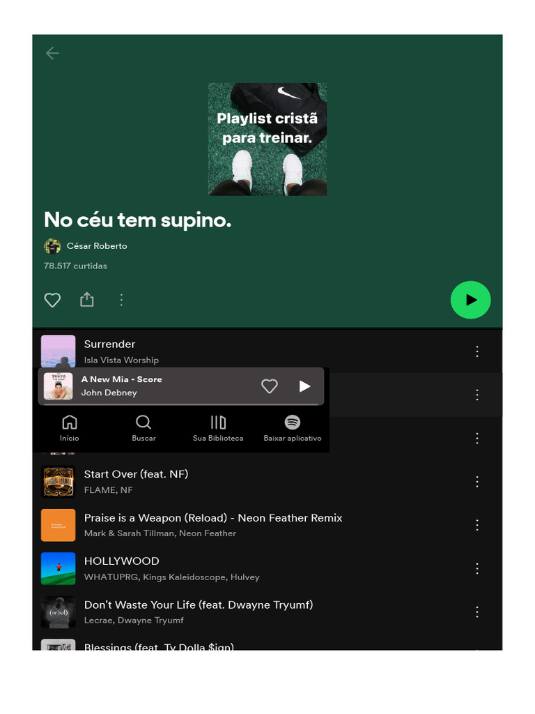 No céu tem supino. - playlist by César Roberto | Spotify | PDF