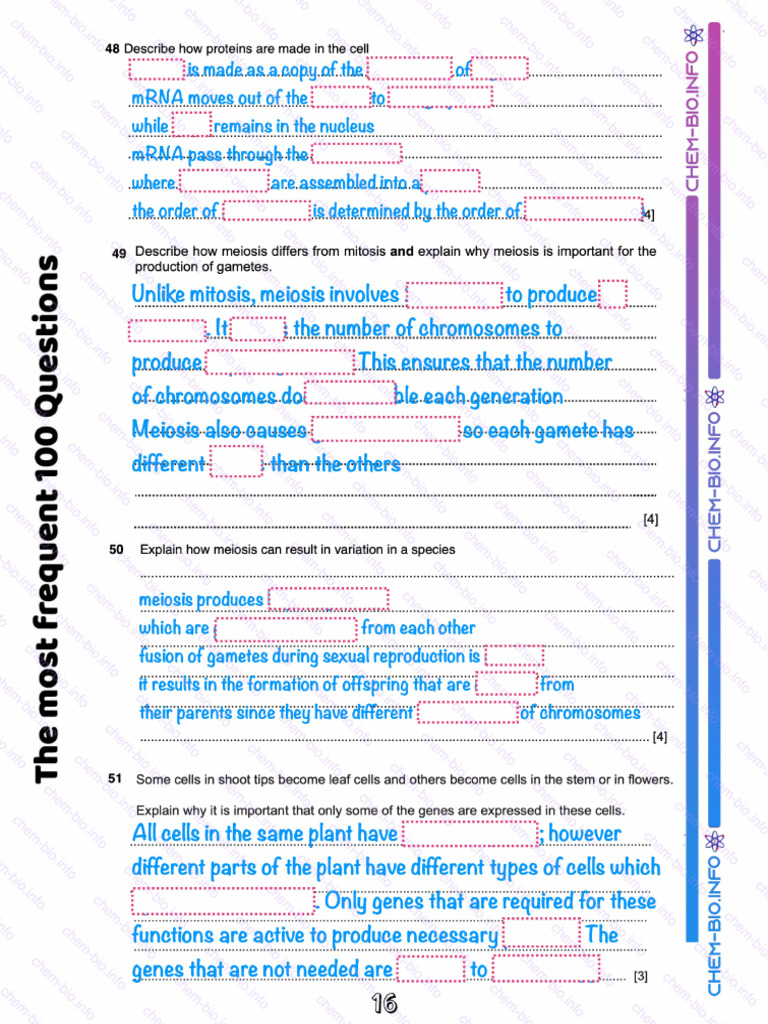 100 Most Frequent Questions Part 3 | PDF